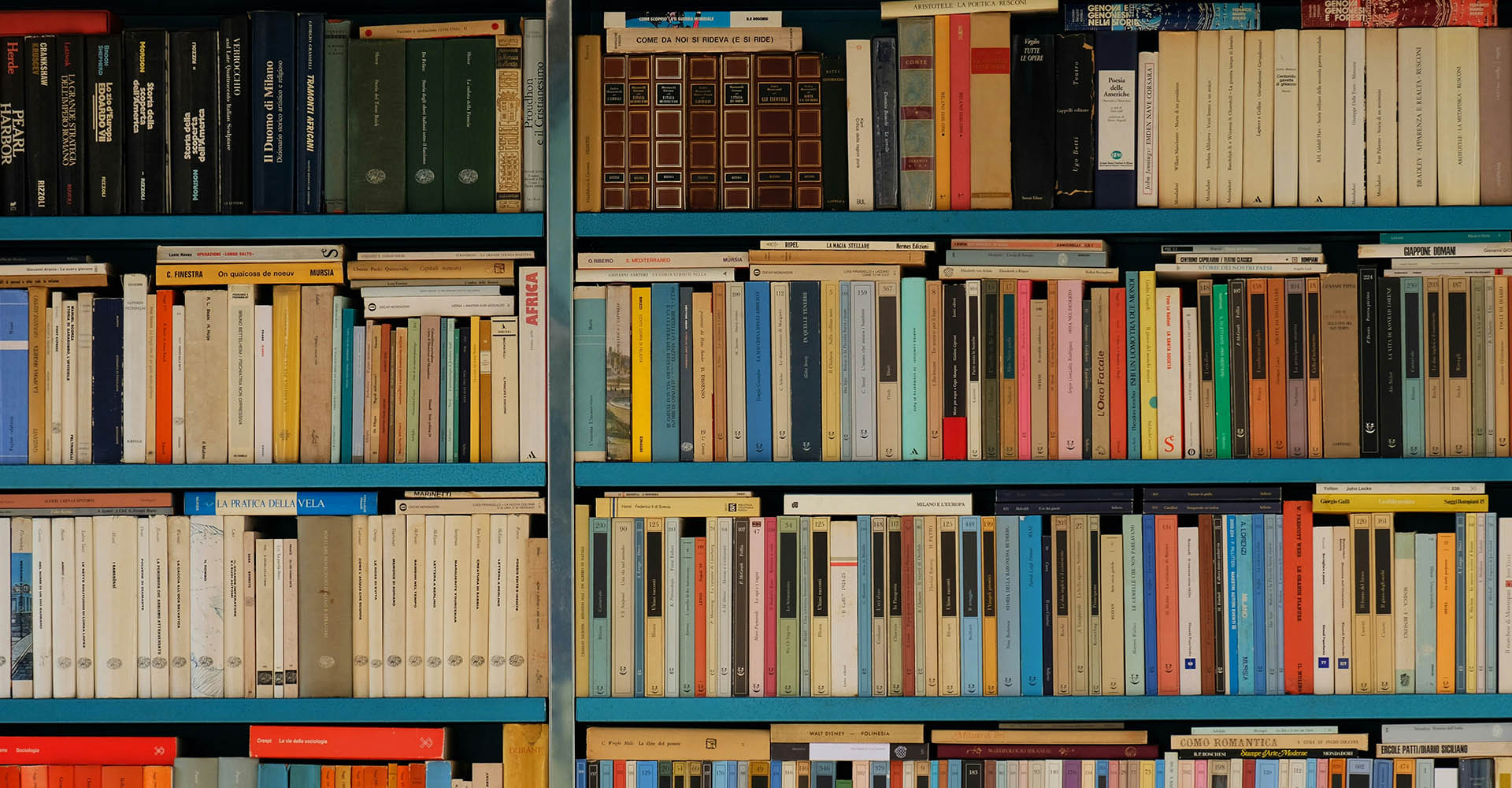 Metaphor vs. Allegory: Key Differences Explained With Examples